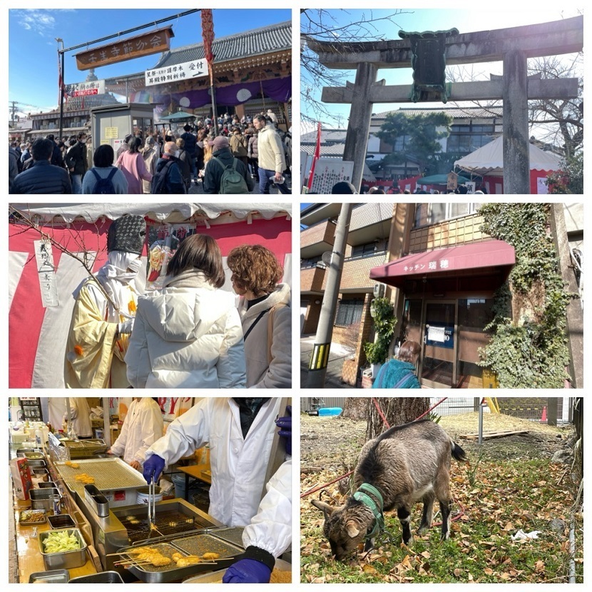 備忘録: Bacchusの独り言